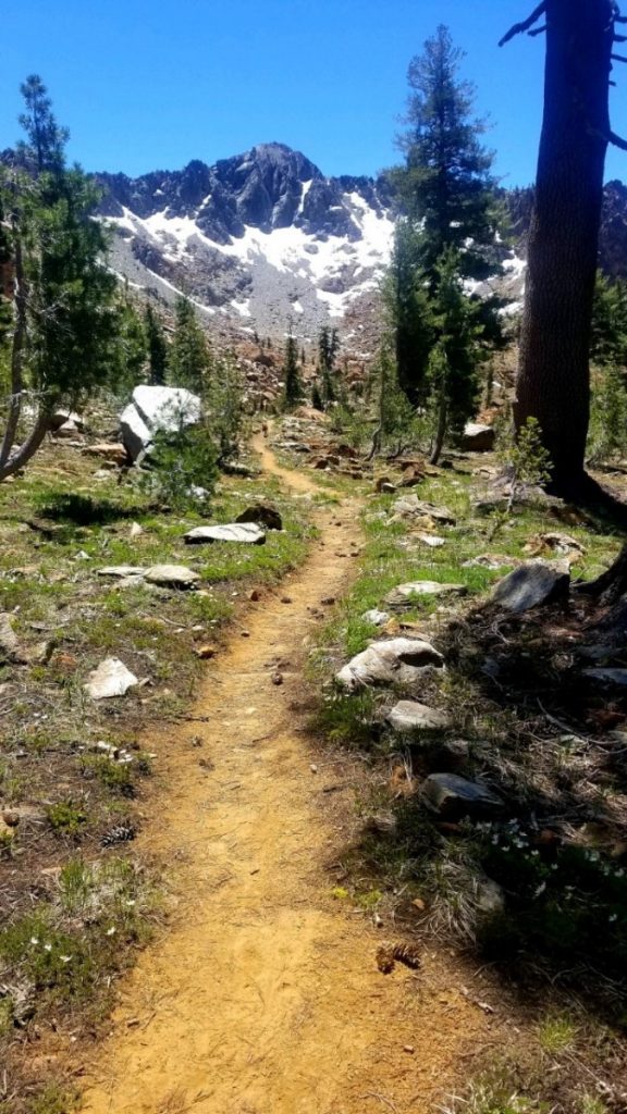 The Trinity Alps Hiking | Strawhouse Resorts